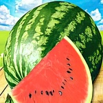 Гейхера Электра (Electra) купить в интернет-магазине Любвитского ...